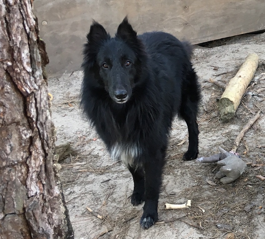 many del rio – erniedelrio